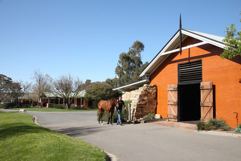 State-of-the-art training facility Lynton purchased by Racing NSW - ANZ ...