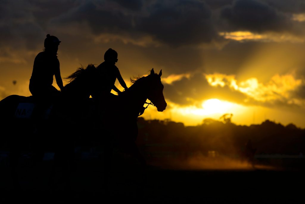 Firefighters work to contain Scone fire - ANZ Bloodstock News