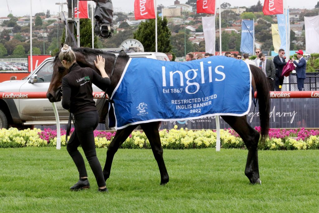 Racing pioneer Duncan hoping to turn Millennium Pink - ANZ Bloodstock News