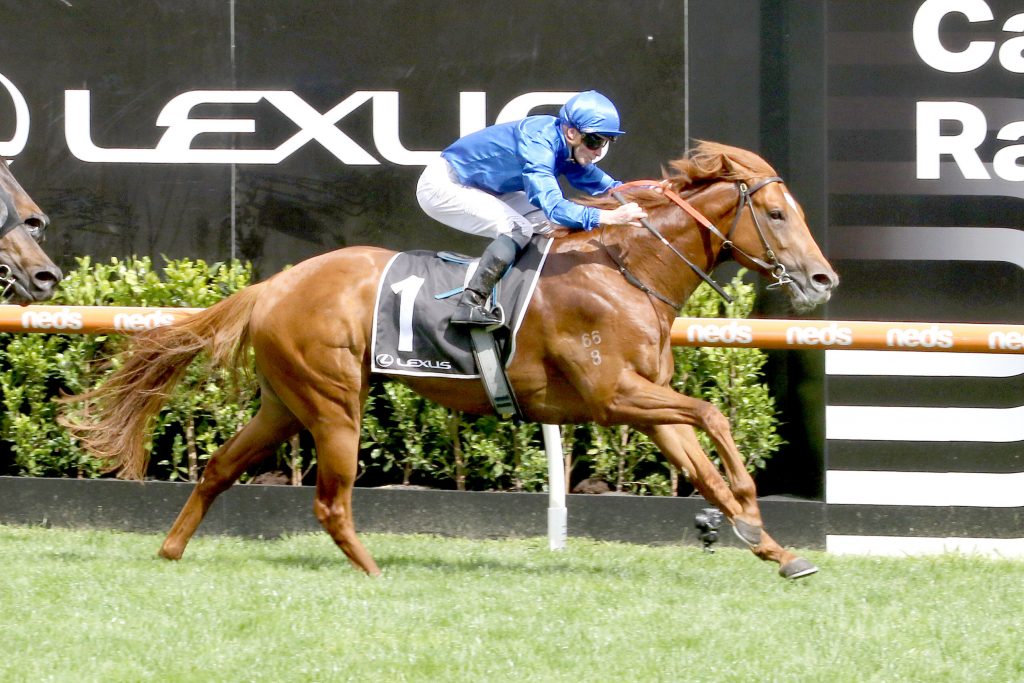 ‘Anamoe up there with So You Think and Lonhro’ - ANZ Bloodstock News