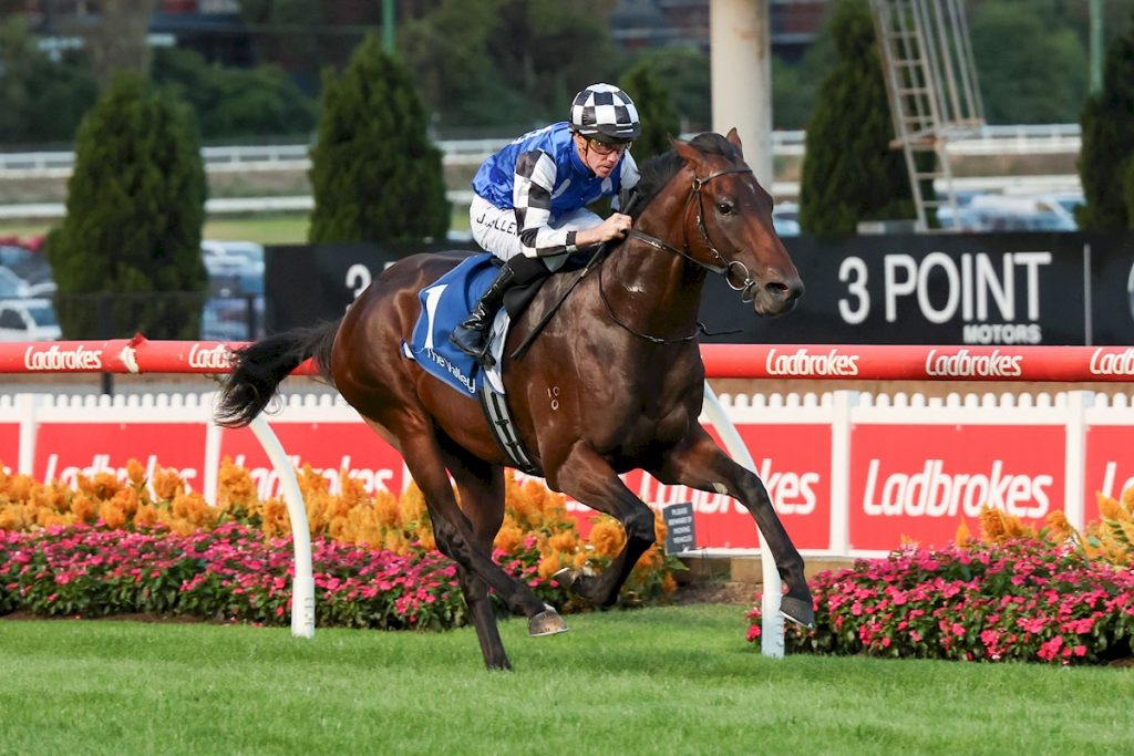 Yarraman snaps up Brave Smash after deal agreed for Hunter move - ANZ ...