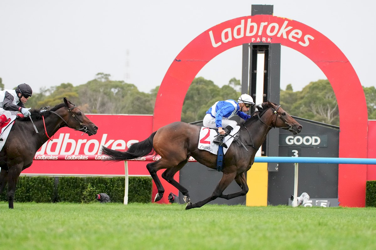 Ladbrokes launches $10 million maiden bonus scheme, set to ramp up ...