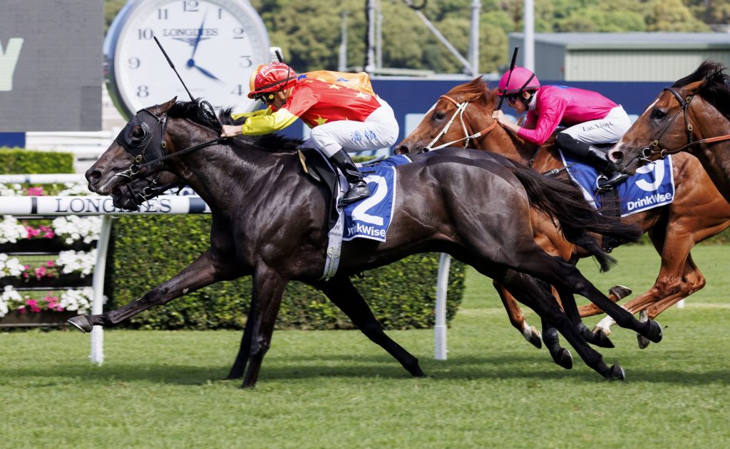 Shuttle career on the line for ‘stronger’ Artorius - ANZ Bloodstock News