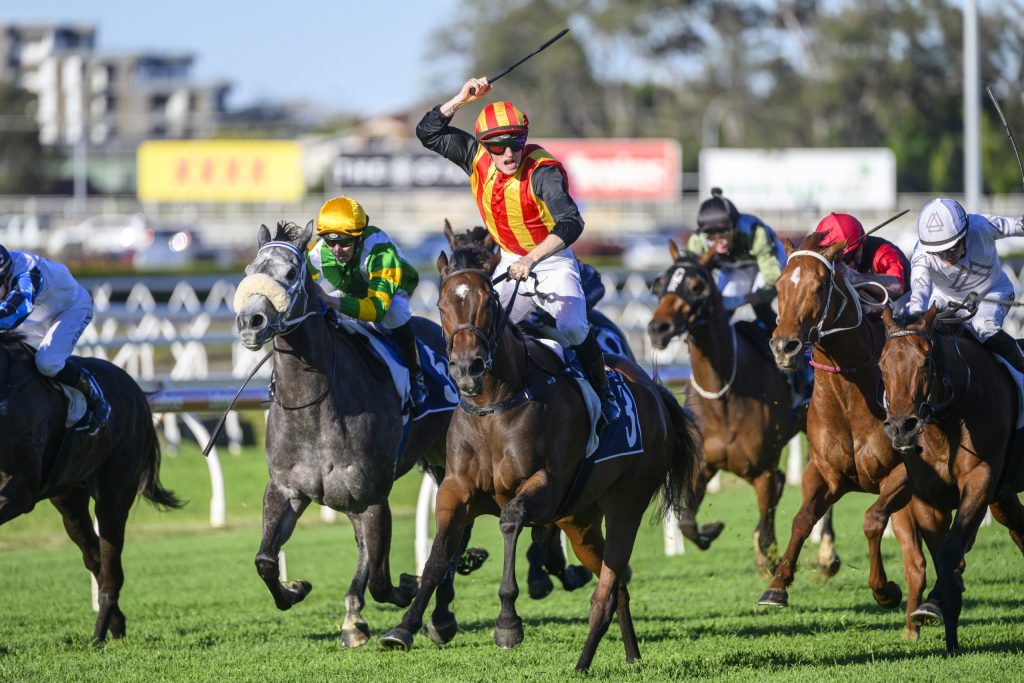 The puzzle linking Gooree Park to Northern Farm - ANZ Bloodstock News