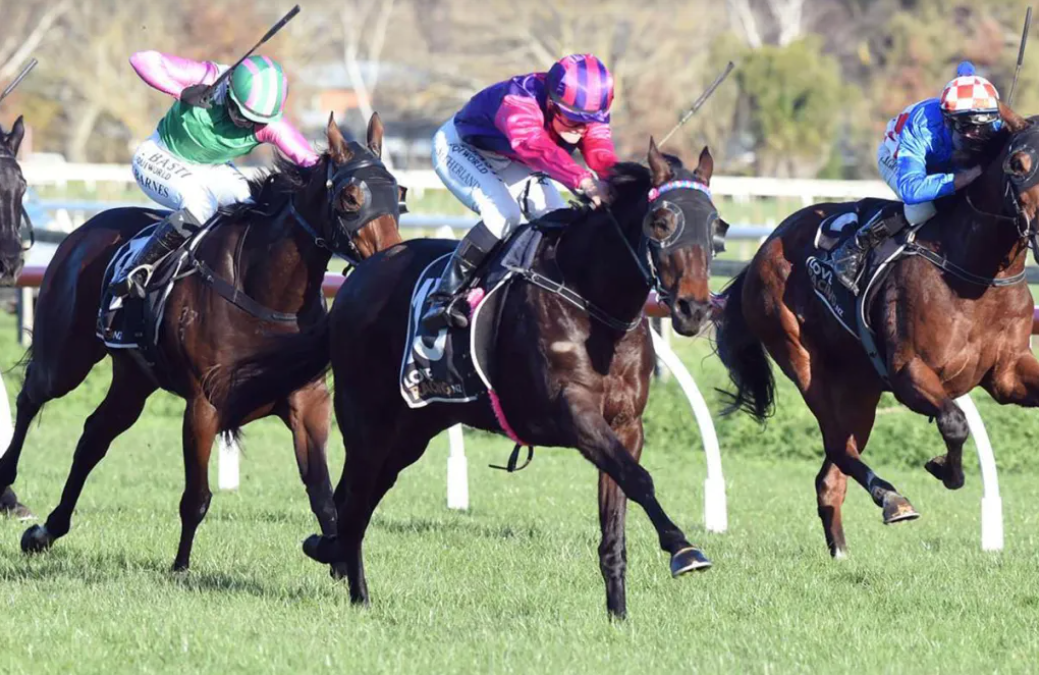 Don't Give Up - ANZ Bloodstock News