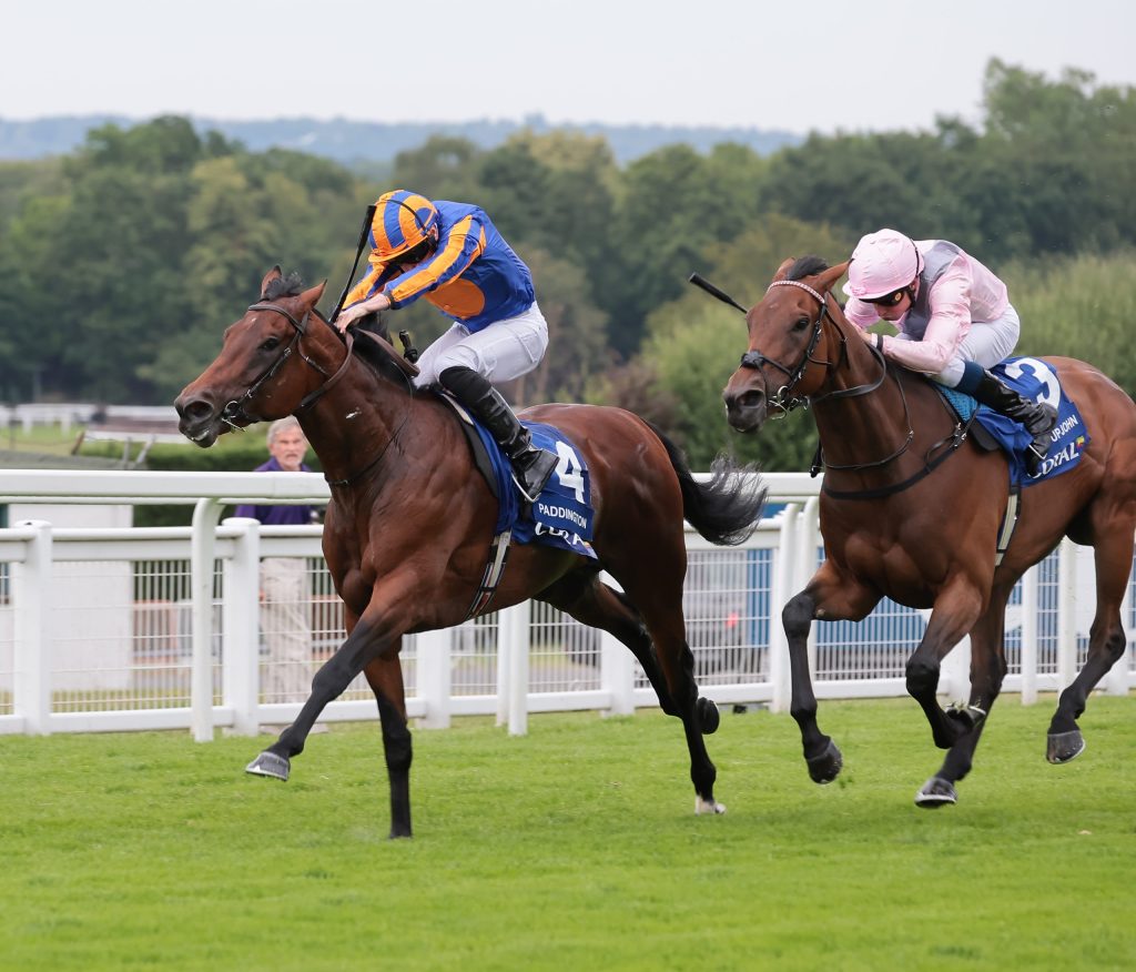 European star Paddington enters the Cox Plate reckoning - ANZ ...