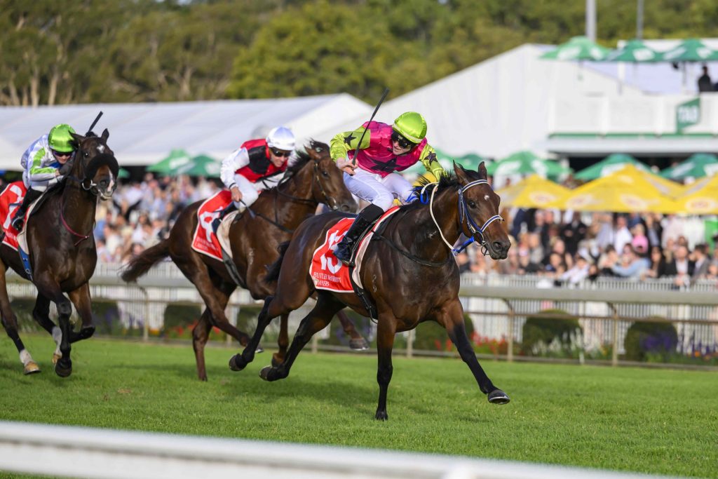 Knight’s Choice - ANZ Bloodstock News