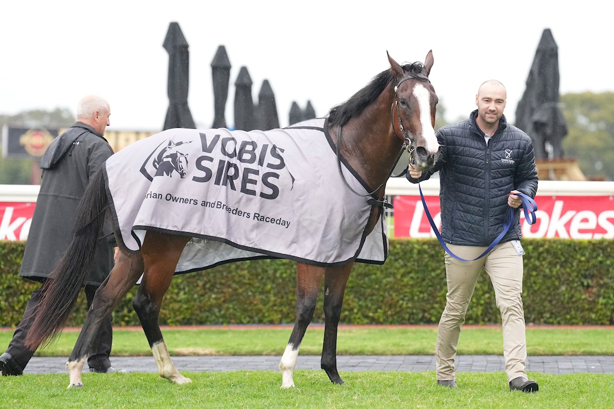 VOBIS revamp as $30 million scheme simplified - ANZ Bloodstock News