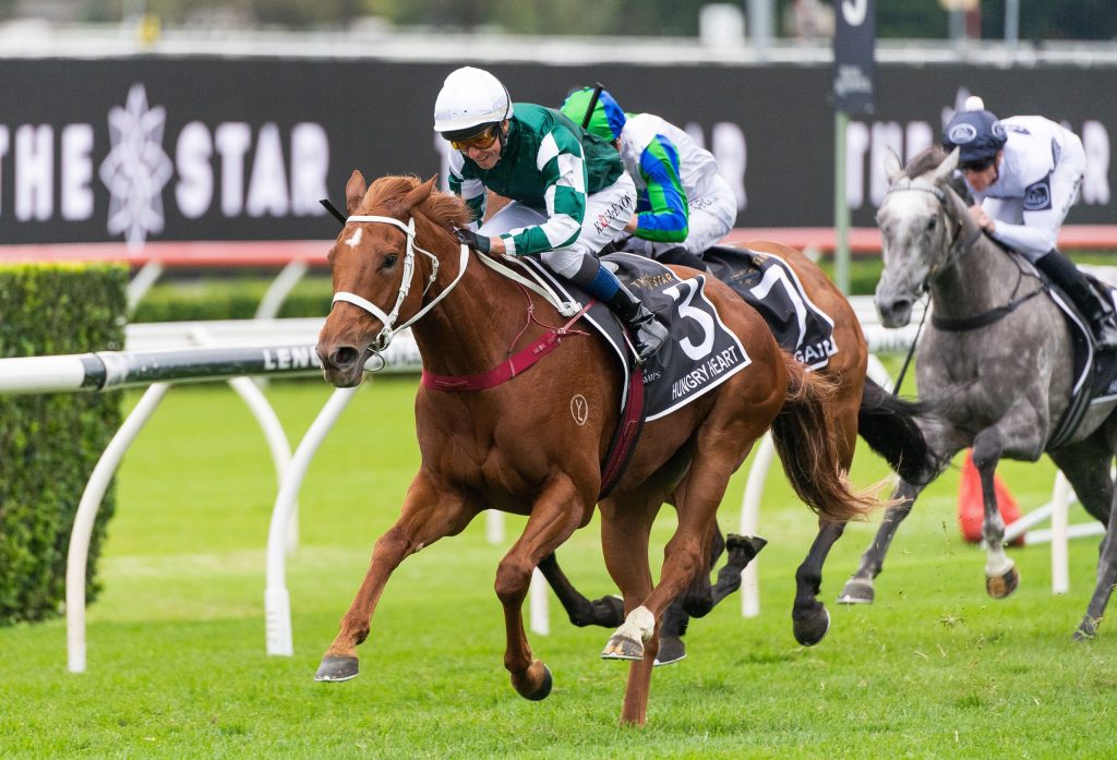Expectations high as Yulong’s foaling season kicks off - ANZ Bloodstock ...