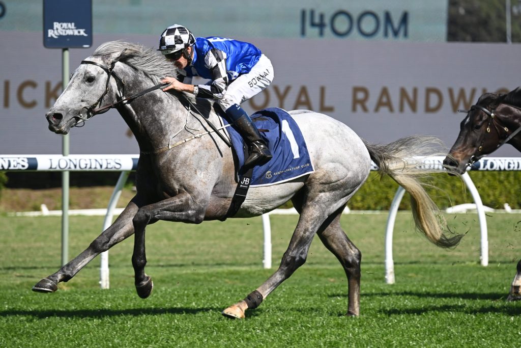 Top billing at Raheen for Epsom winner Top Ranked - ANZ Bloodstock News