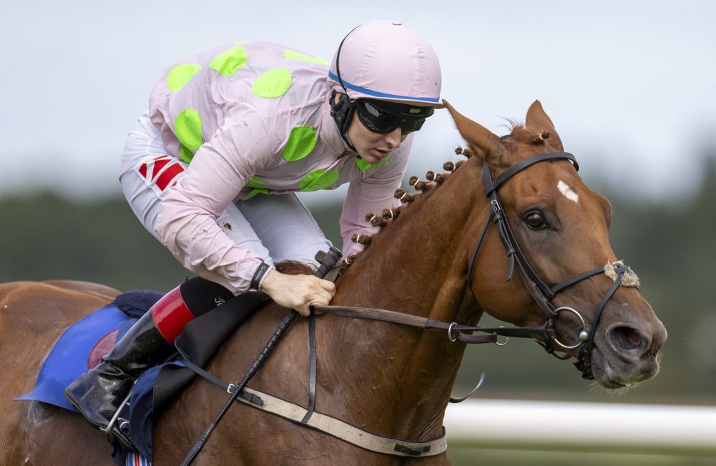 Vauban allotted 55 kilograms for Melbourne Cup - ANZ Bloodstock News