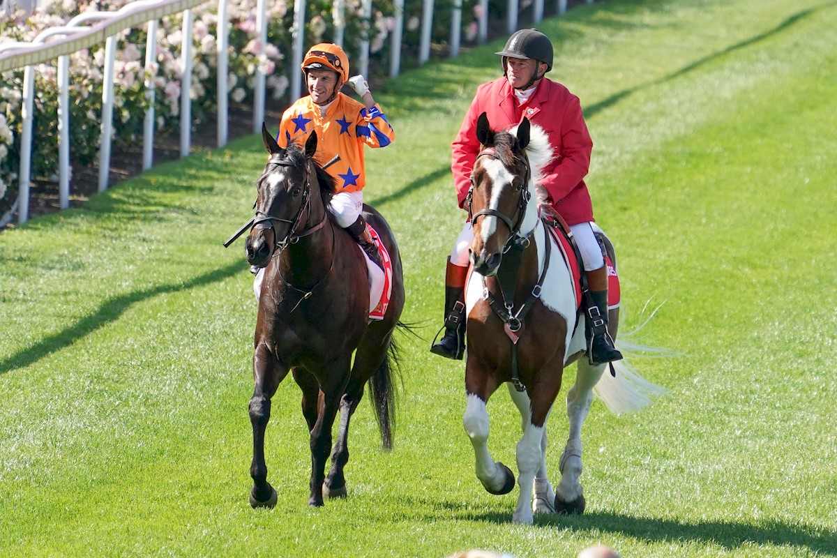 Imperatriz steals the show at The Valley with Manikato romp - ANZ ...