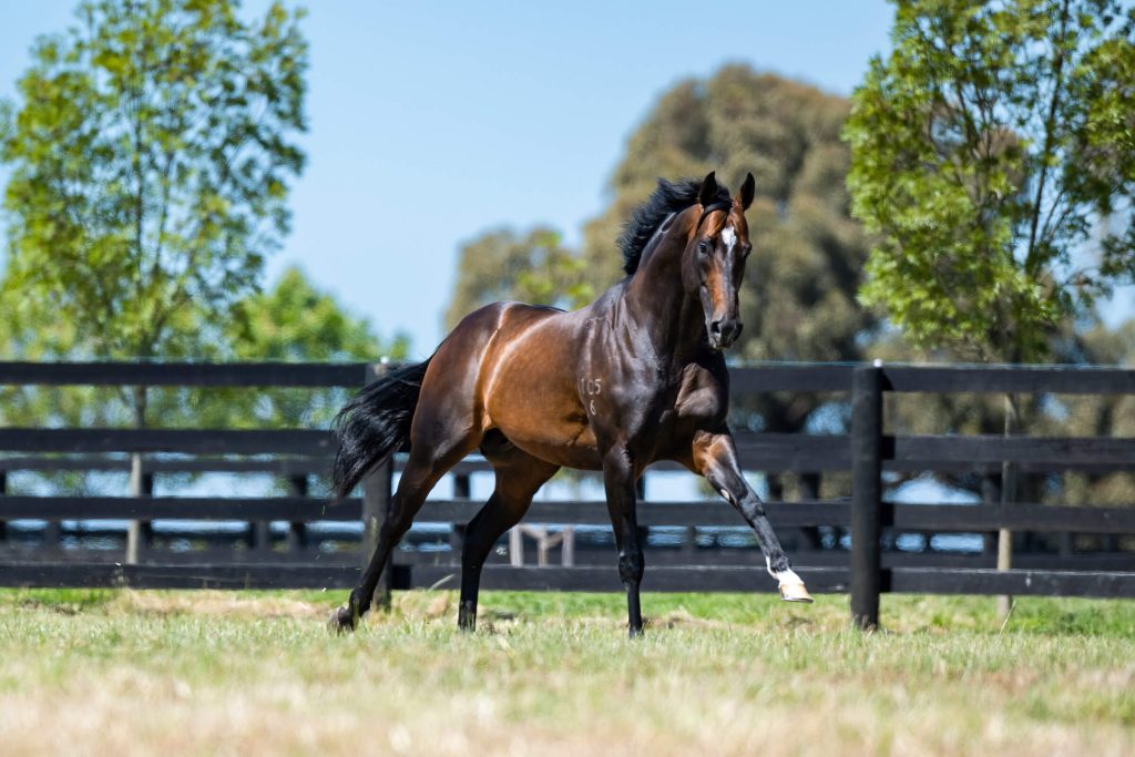 First for Alabama Express - ANZ Bloodstock News