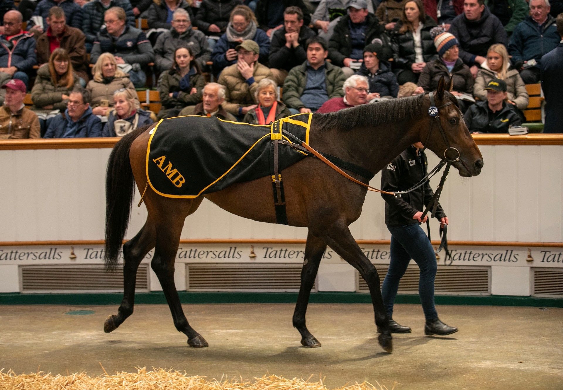 Alcohol Free to run for Yulong in Everest - ANZ Bloodstock News