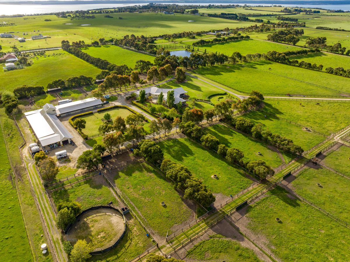 TBV president to part with pristine Lauriston Thoroughbred Farm - ANZ ...