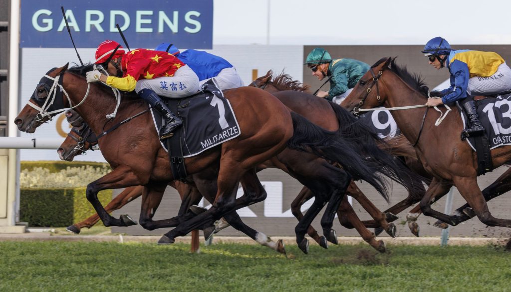 Why three-year-olds add so much to the Cox Plate - ANZ Bloodstock News