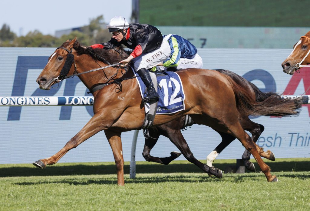 Virtual success as Sheeza Belter sells for $1.35 million through Magic ...