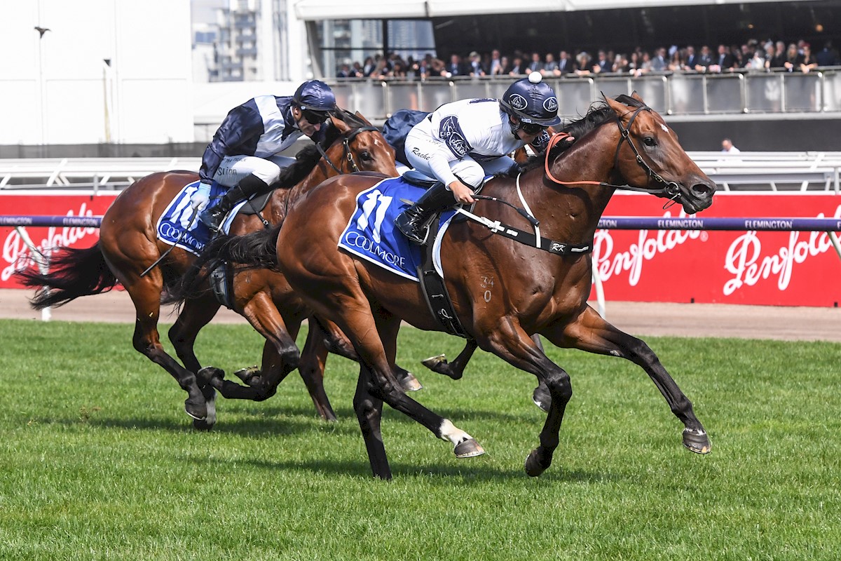 ‘Ozzmosis is one of the most important stallion prospects of the past ...