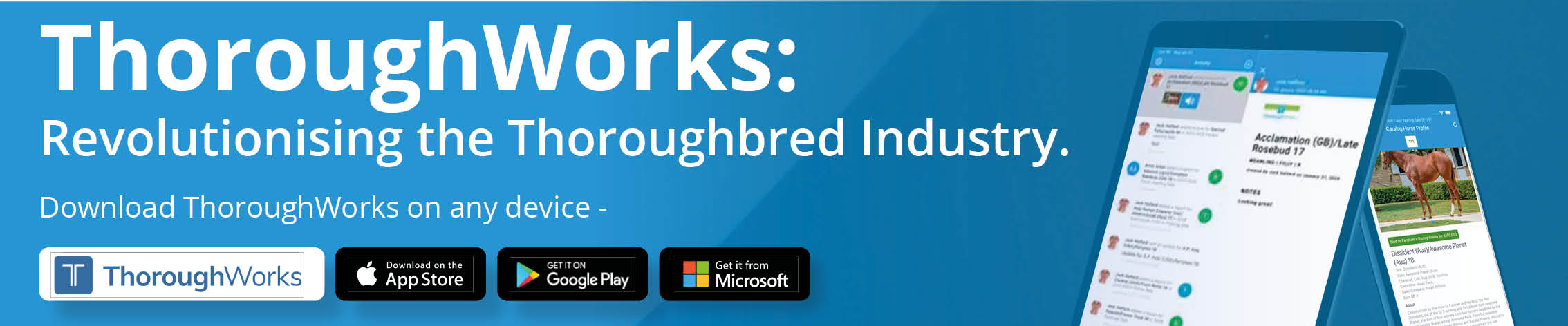 Pinhookers - Sponsored by ThoroughWorks - ANZ Bloodstock News