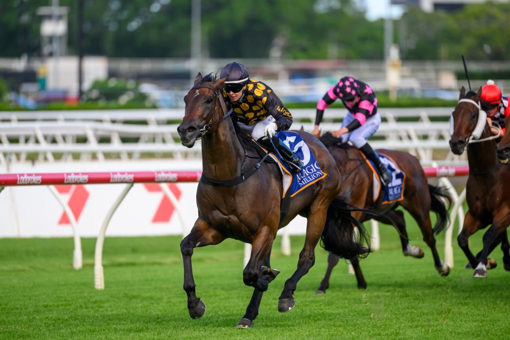 Magic Millions Cup next for well-bred Zarastro - ANZ Bloodstock News