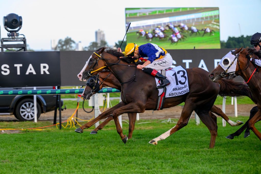 First Light’s Abounding outsmarts Magic Millions Guineas field - ANZ ...