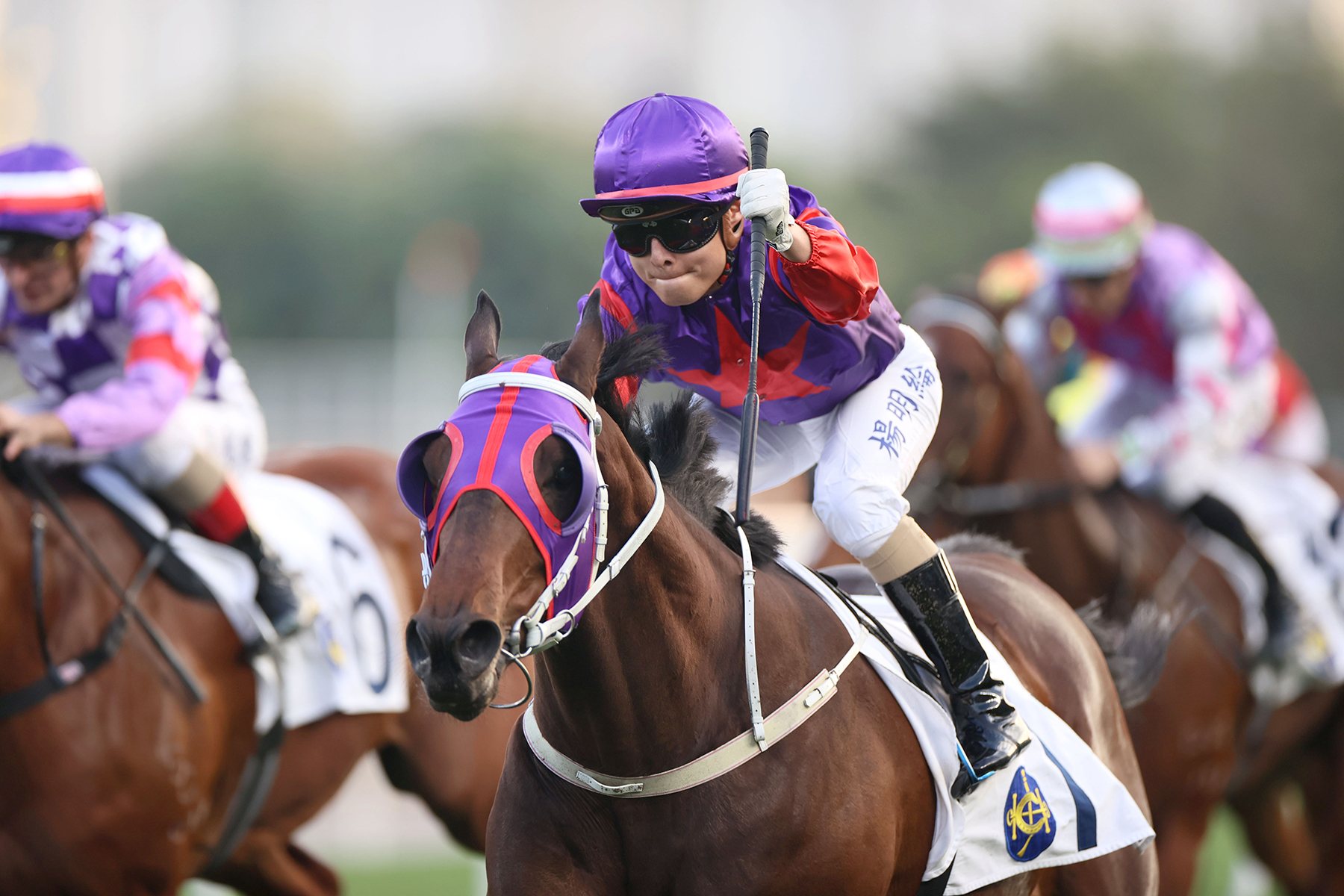 Fallon underlines Four-Year-Old Classic Series hopes with brilliant Sha ...