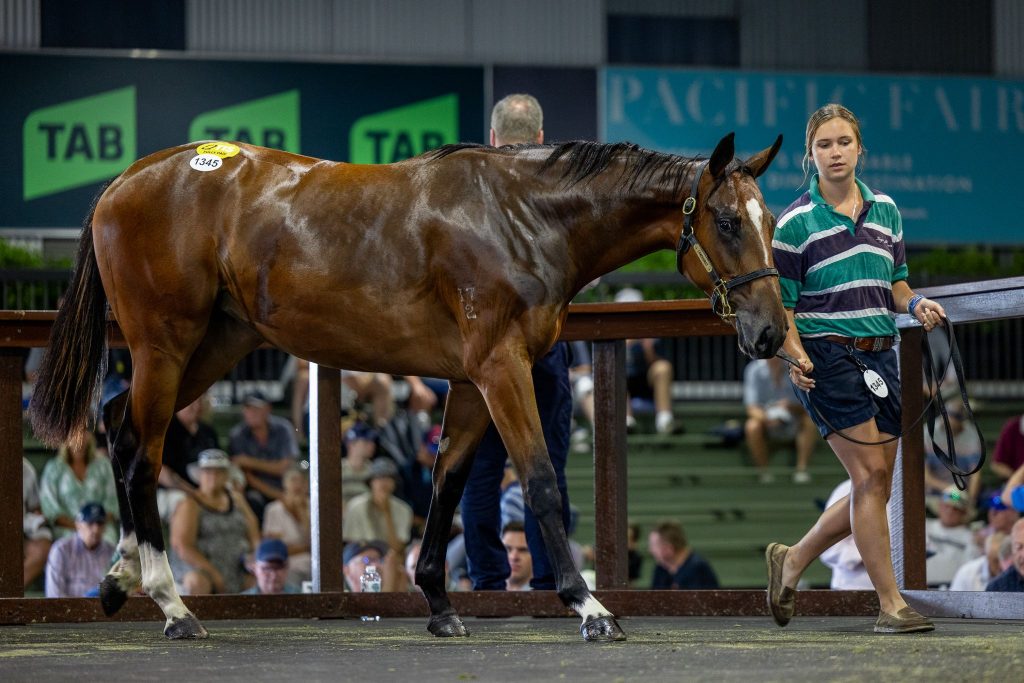 Bowditch pleased with results as action comes to a close on the Gold ...