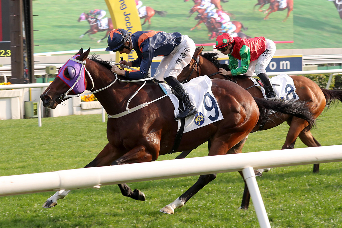Harry Bentley and Tony Cruz claim Bauhinia Sprint Trophy with Whizz Kid ...
