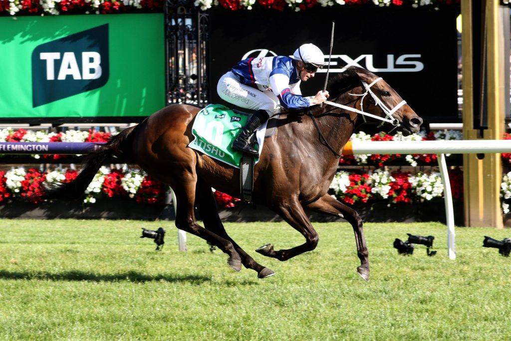 Options open for Group 1 winner Atishu - ANZ Bloodstock News