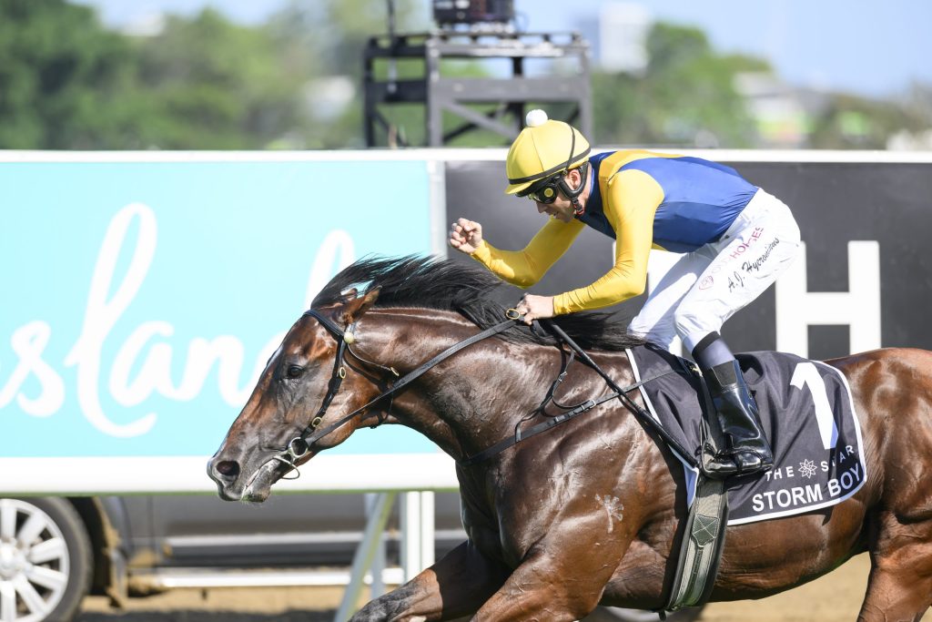 "In time we’d like to think we’ll enter into the stallion game" - ANZ ...