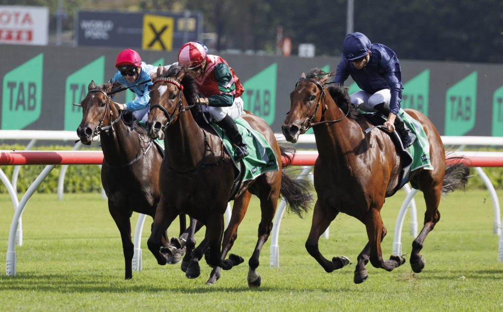 Kimochi makes breakthrough in Light Fingers Stakes - ANZ Bloodstock News