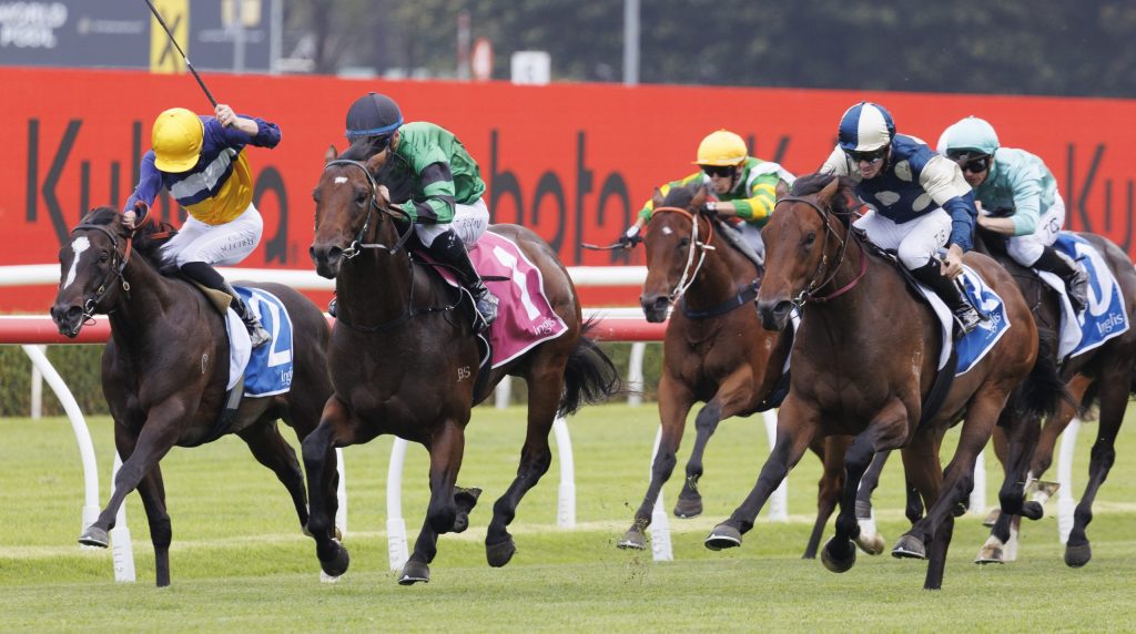 Mane Lodge’s Millennium tilt with Beer Baron - ANZ Bloodstock News
