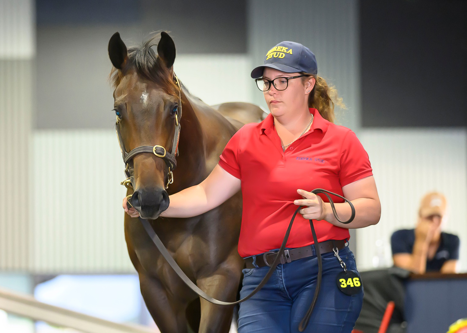 Boom filly joins her sister in Taylor stable with a $230,000 price tag ...