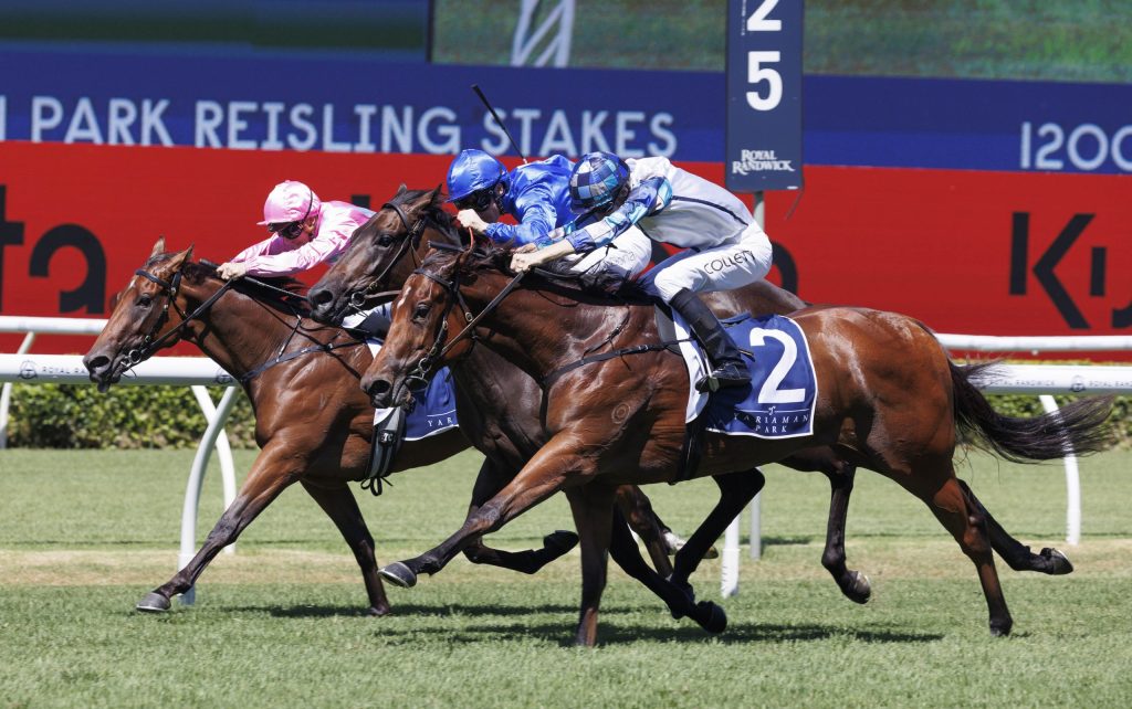 Erno’s Cube shines in Reisling Stakes - ANZ Bloodstock News