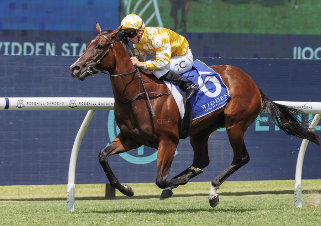 FAMILY TIES - ANZ Bloodstock News