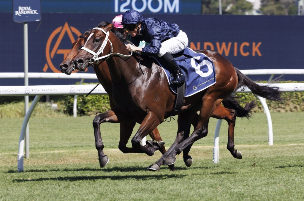 Switzerland foot perfect in key Slipper lead up - ANZ Bloodstock News