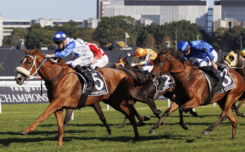 Autumn Angel soars to Australian Oaks victory - ANZ Bloodstock News