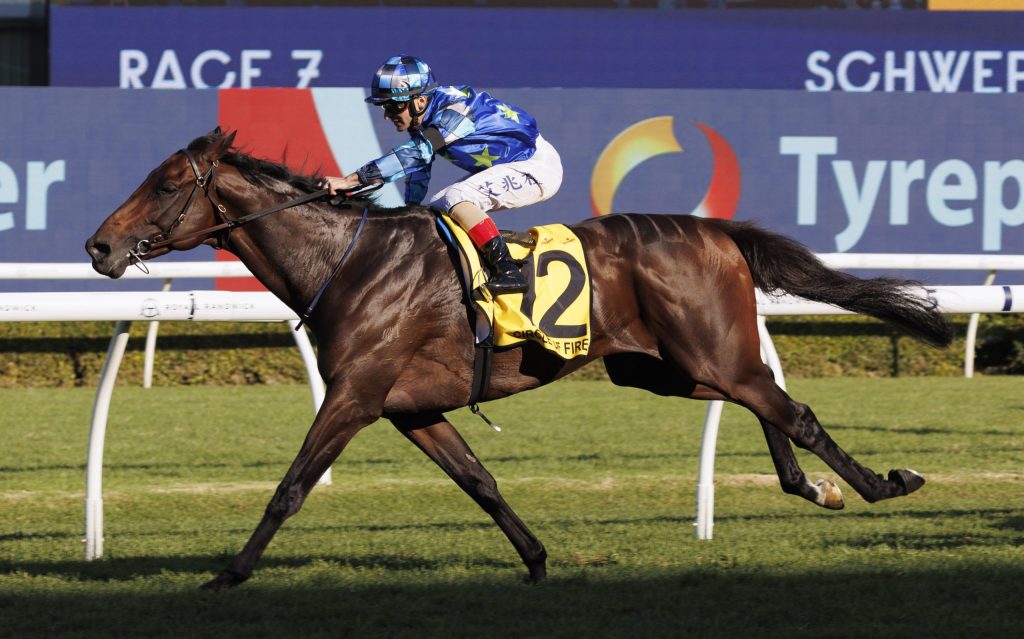 Circle Of Fire provides emotional Cup win for Atzeni - ANZ Bloodstock News