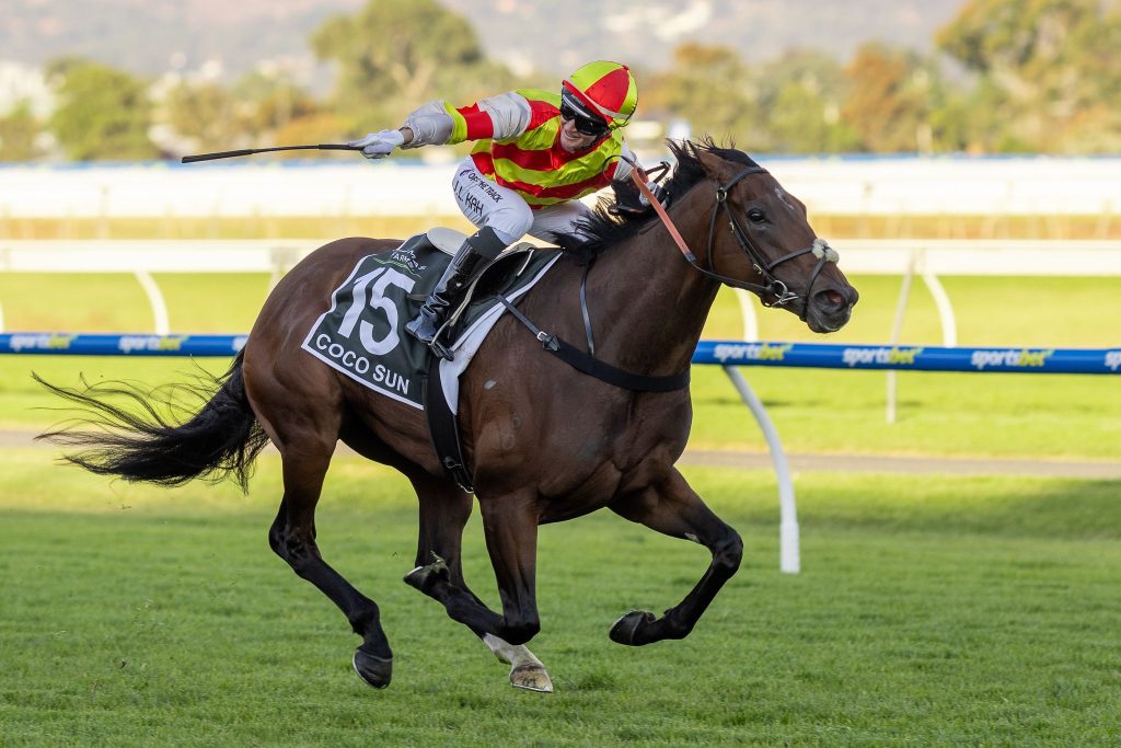 Coco Sun shines in South Australian Derby triumph - ANZ Bloodstock News