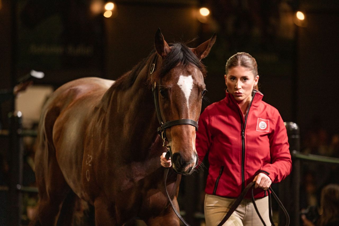 Leo To toasts $2.2 million mare Kimochi - ANZ Bloodstock News