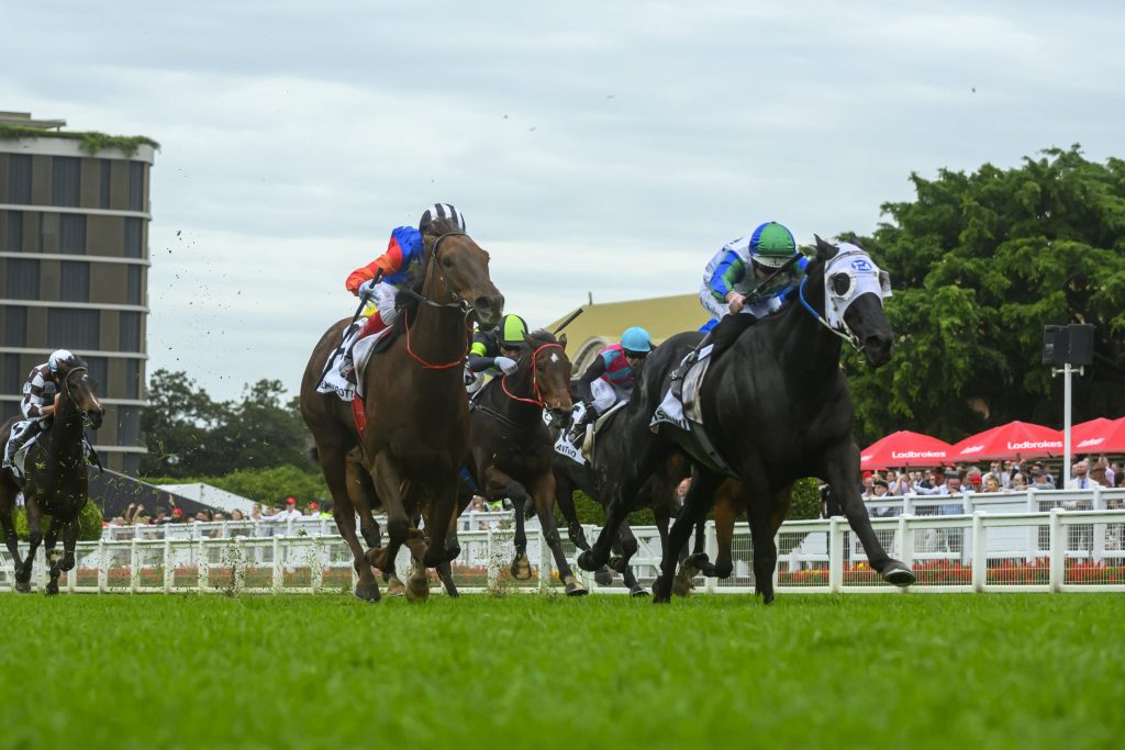I Wish I Win flies home in the Kingsford Smith - ANZ Bloodstock News