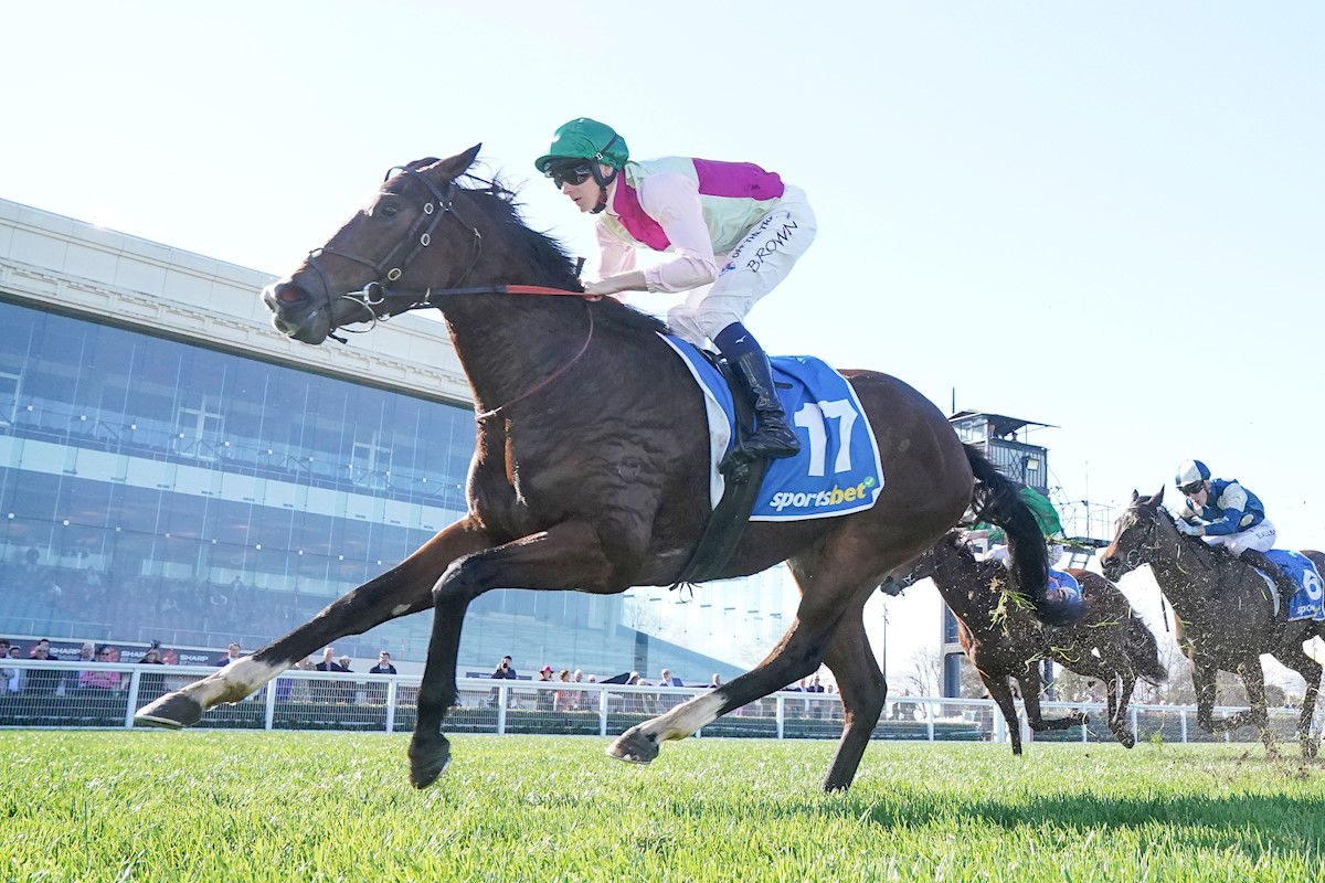 Brown predicts bright future for debut winner Manolo Bling - ANZ ...