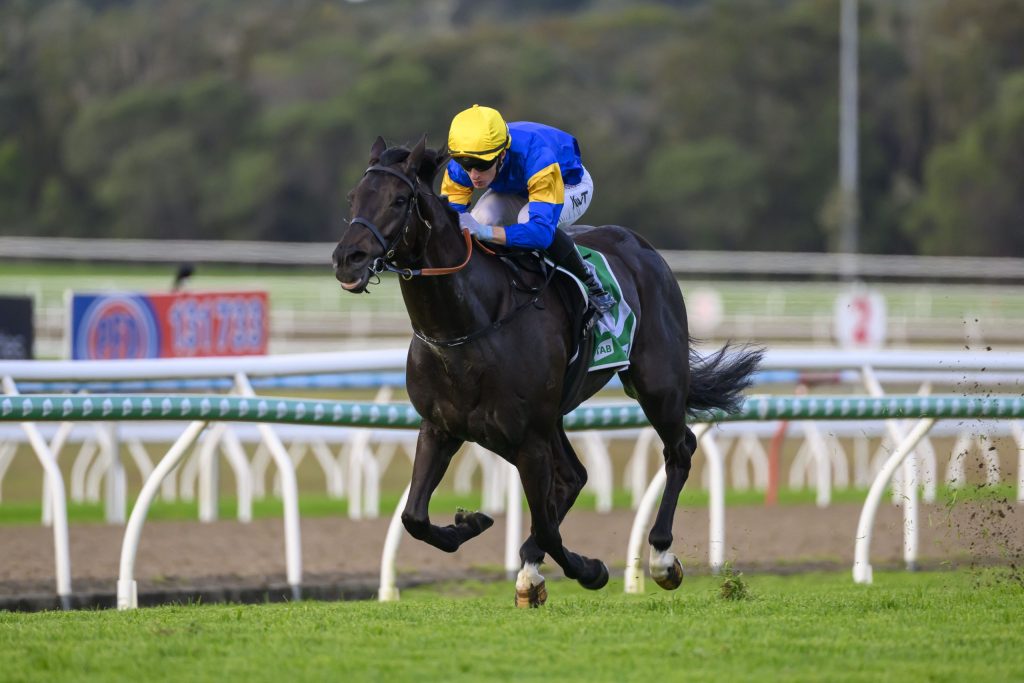 Lane punches in first stakes win - ANZ Bloodstock News