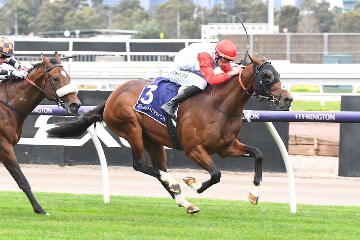Red Aces - ANZ Bloodstock News