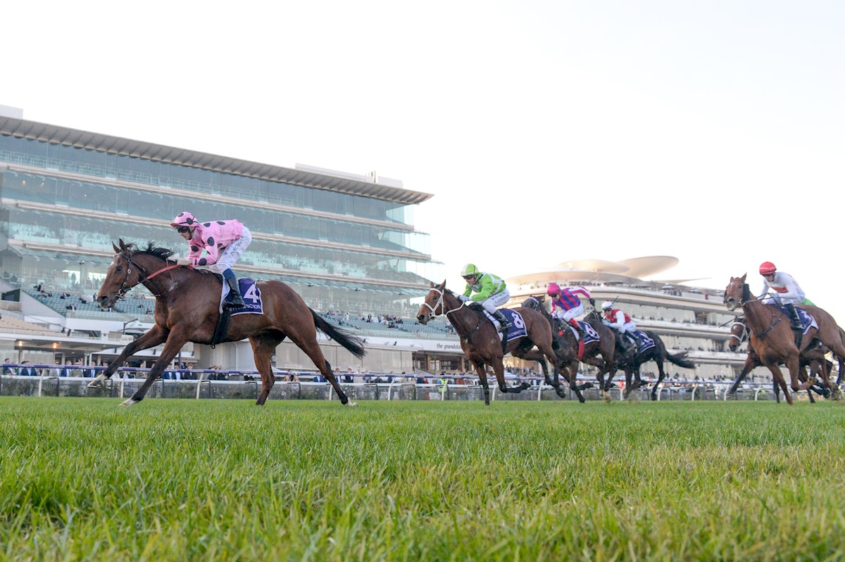 ‘He could compete in some of the biggest races in the country’ - ANZ ...