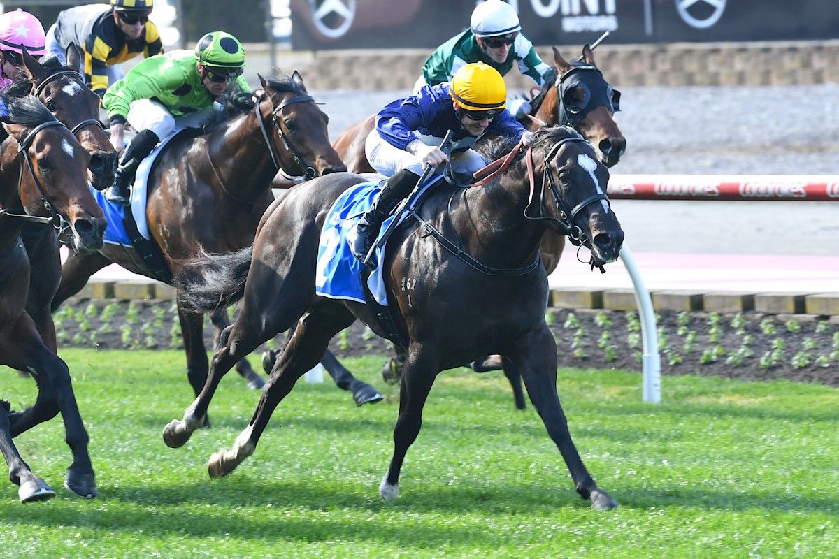 McEvoy looks forward to Arabian Summer and Blue Stratum - ANZ ...