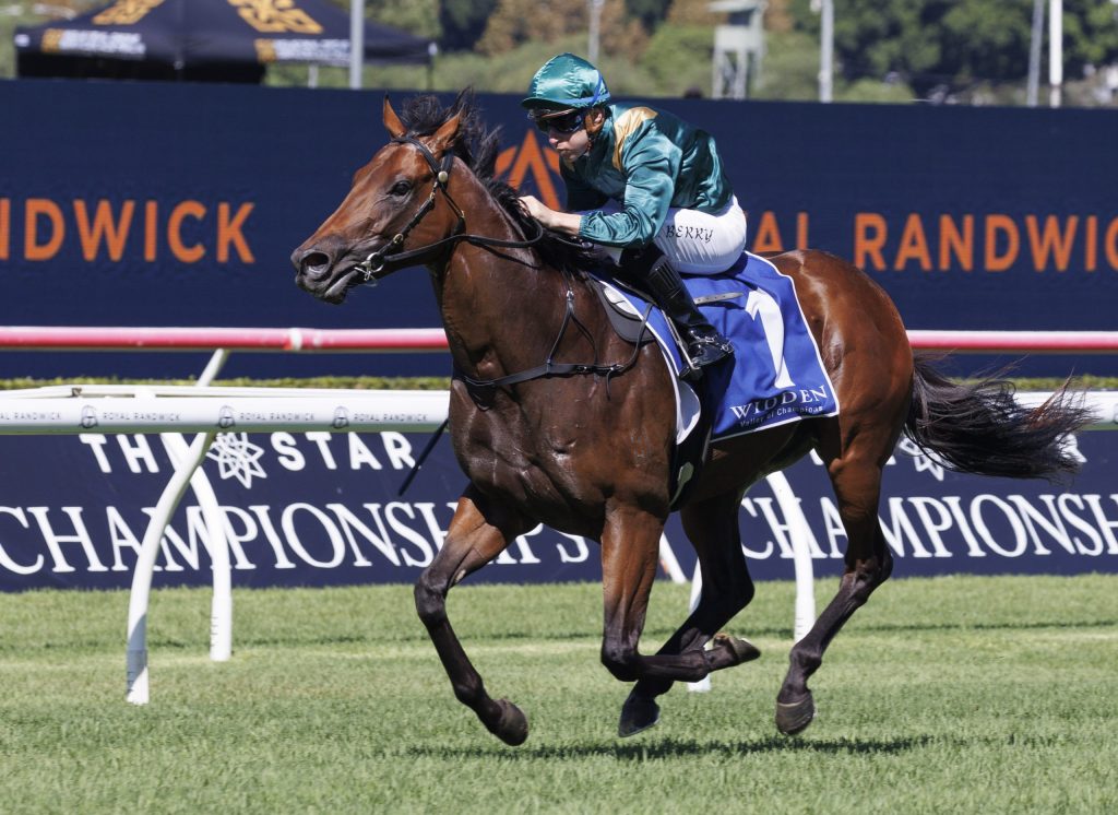 Coolmore commits to Espionage - ANZ Bloodstock News