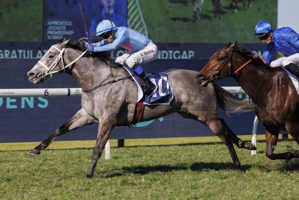 I Am Famous continues progressive ways - ANZ Bloodstock News