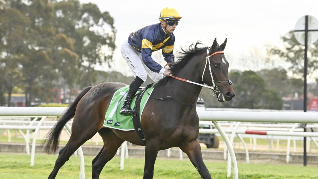 Theblade (AUS) - ANZ Bloodstock News