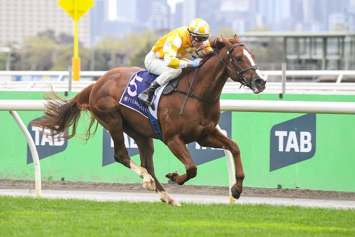 Well-bred Justify colt breezes through Exford Plate test - ANZ ...
